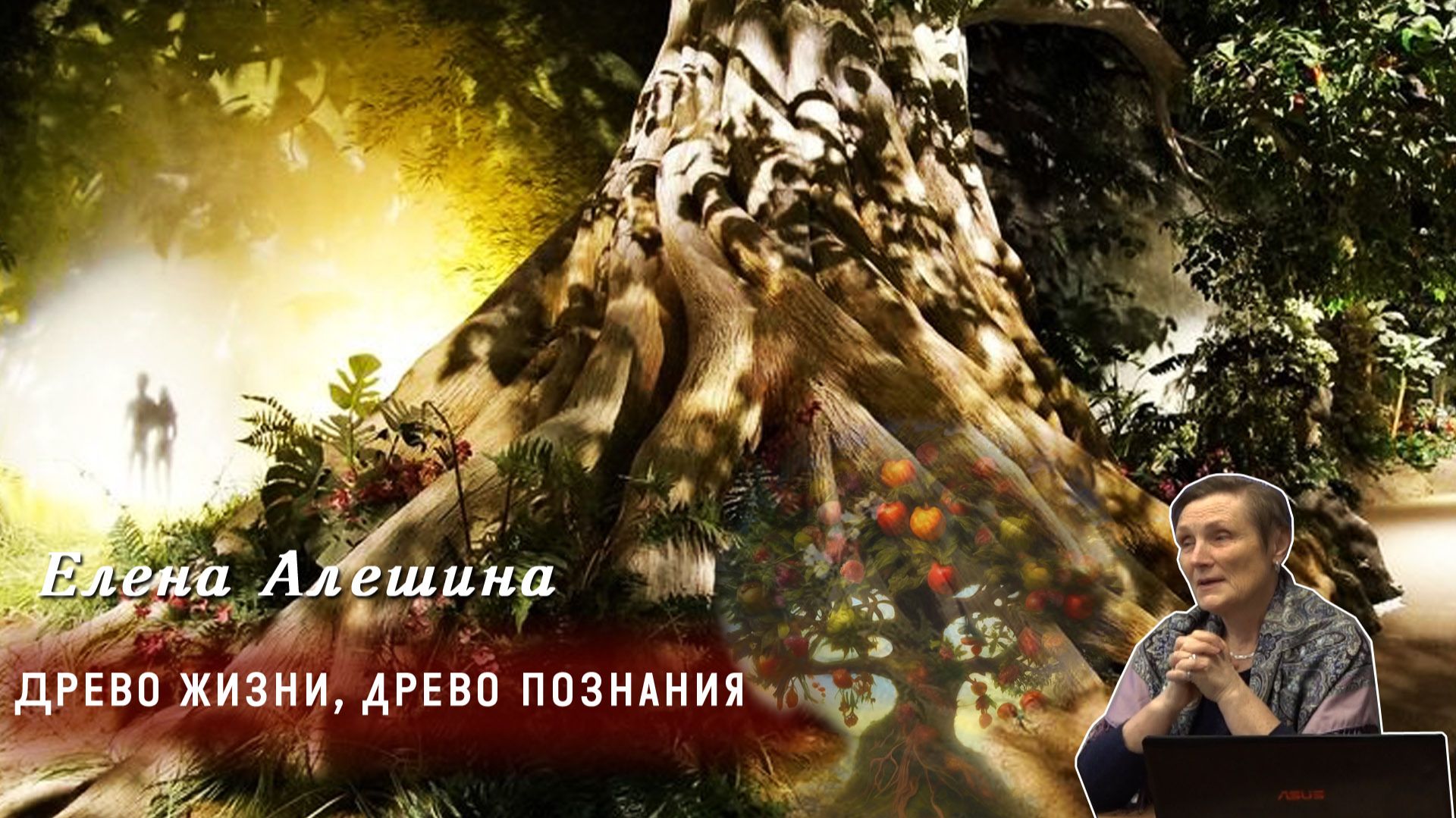 Елена Алёшина - Древо жизни, древо познания
