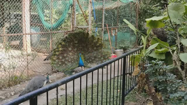 Китай. Город Гуанчжоу. Ты не пройдёшь!