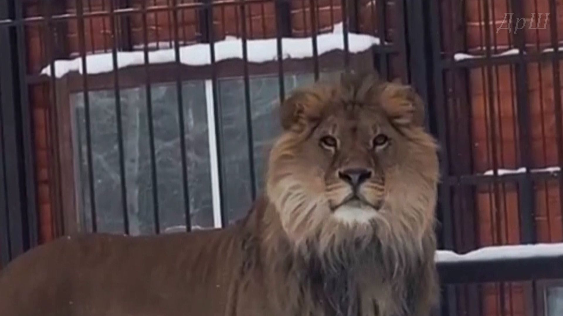 Ой, ну какой же брутальный! Стихи от Ольги.