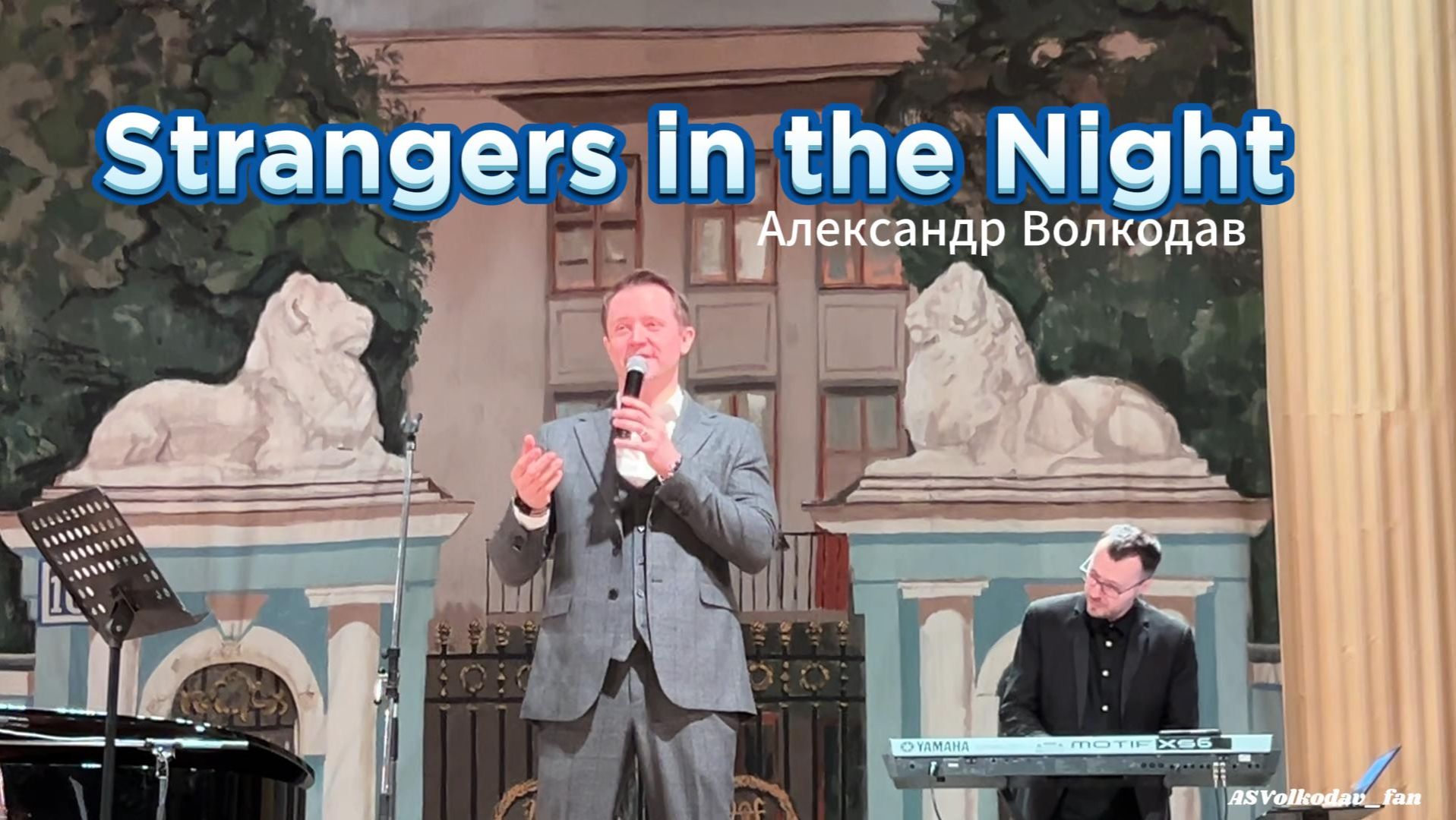"STRANGERS IN THE NIGHT" - исп.Александр Волкодав ЦДУ 7/02/26 #volkodav #домученых #franksinatra