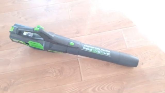 Тест воздуходувки Greenworks GD60AB