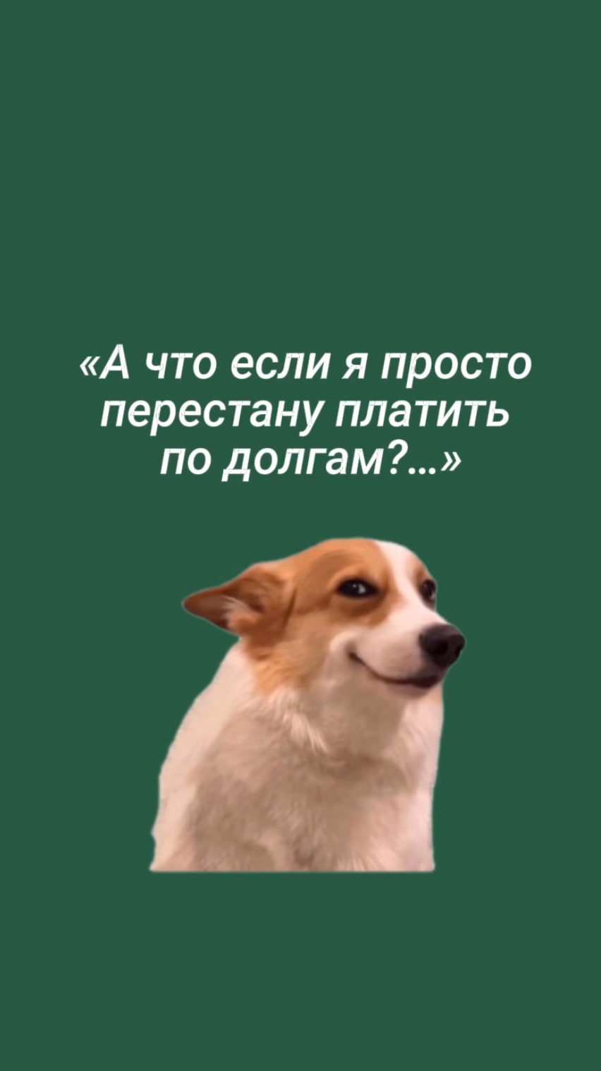 Что будет, если перестать платить по долгам?