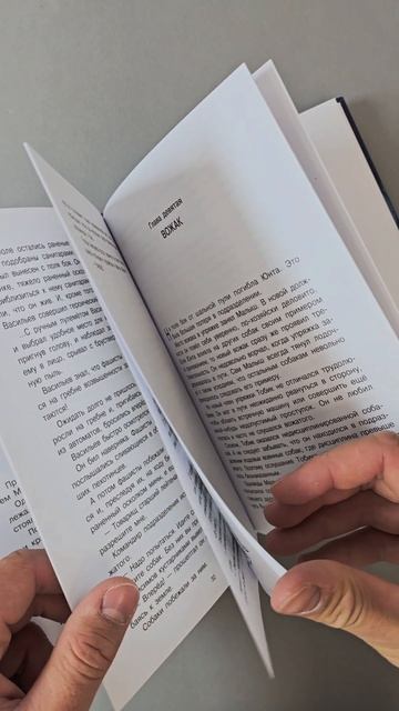 Вожак санитарной упряжки