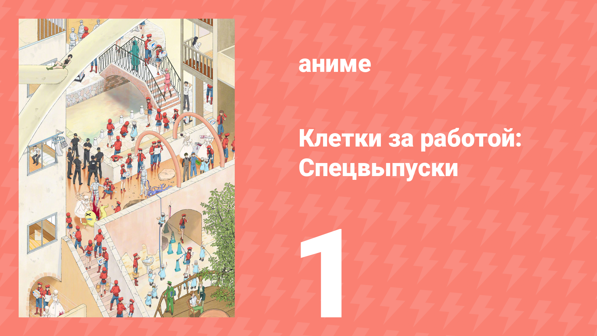 Клетки за работой: Спецвыпуски 1 серия (аниме-сериал, 2018)