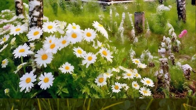 Изумрудные луга (1).