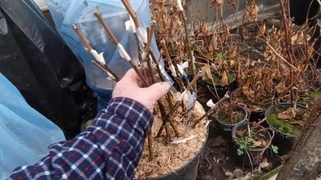 ответы на вопросы подписчиков 10 февраля.