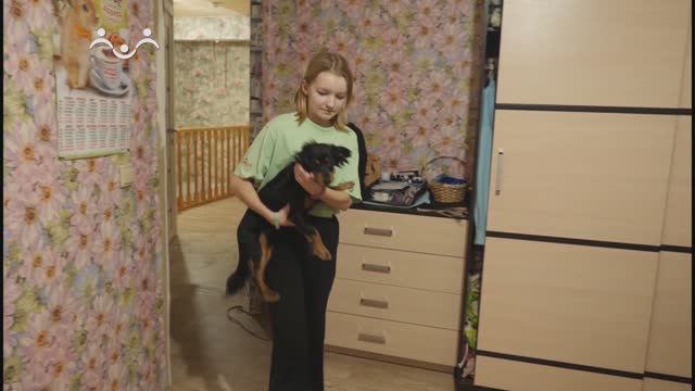 Родительские будни. Животные в доме