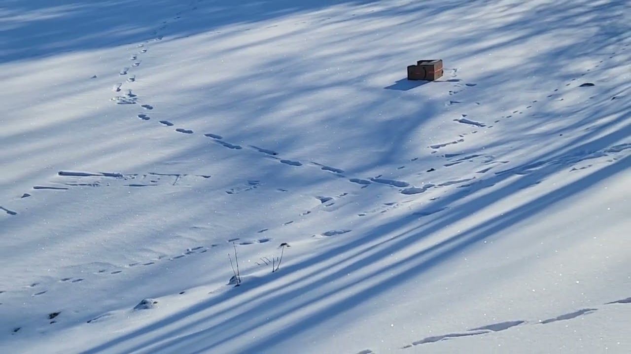 🌈 ＂Страна Сэфестия＂. ❄️ ＂Февральский Контакт＂. 🌊
