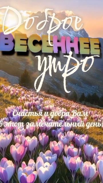 #katyboro #видео #видеооткрытка #топ #врек #реки #viral #рекомендации #video #врекомендации #2026