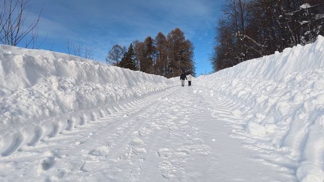 Воскресная поездка по воду и прогулка по деревне.