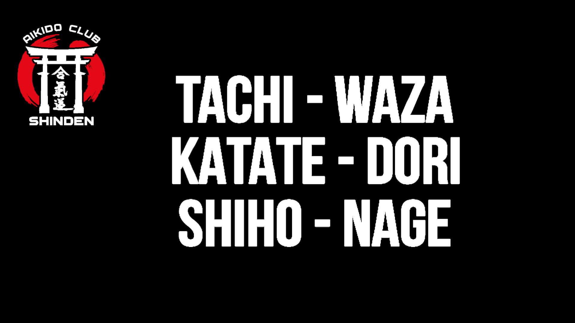 TACHI WAZA KATATE DORI SHIHO NAGE. Школа айкидо SHINDEN.