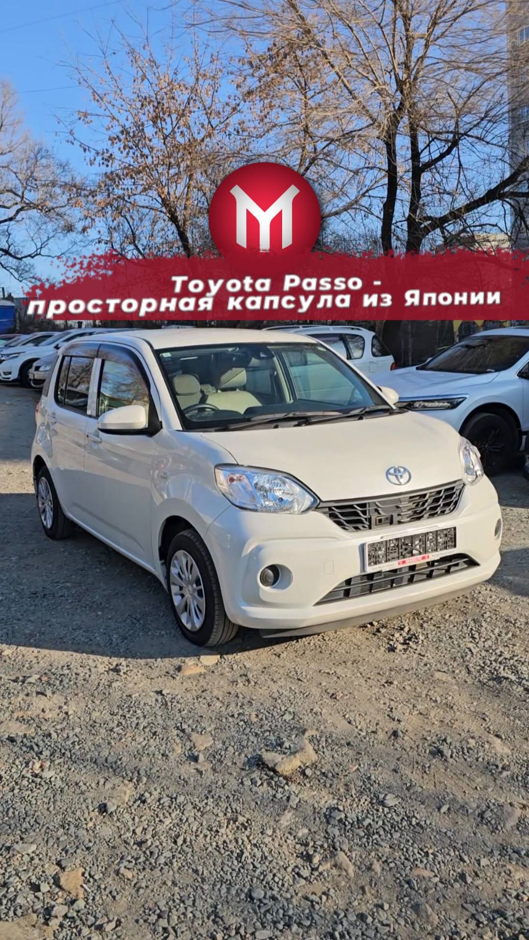Toyota Passo - просторная капсула из Японии