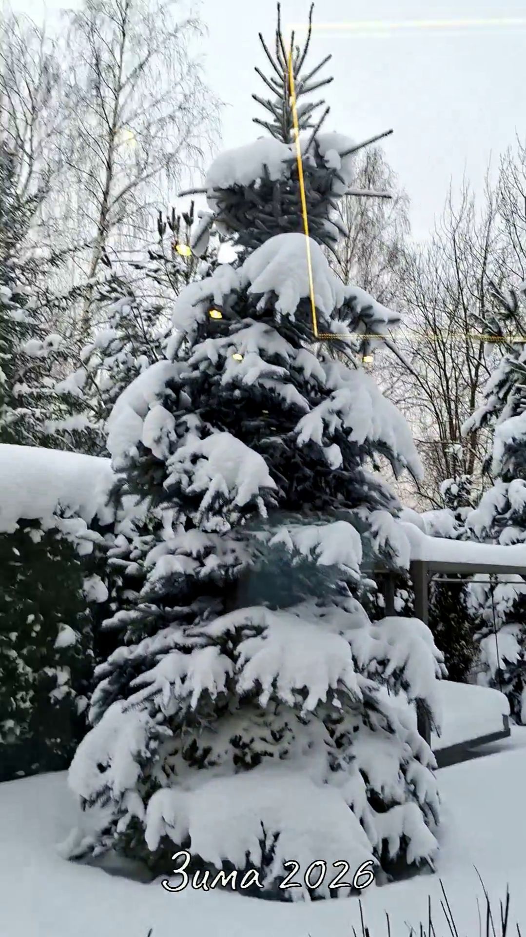 Зима 2026🙂 #природа #снег #февраль