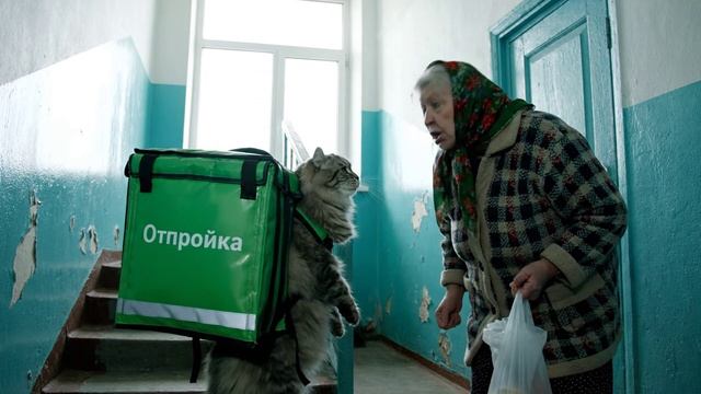 «Кот доставил заказ, но не вовремя»