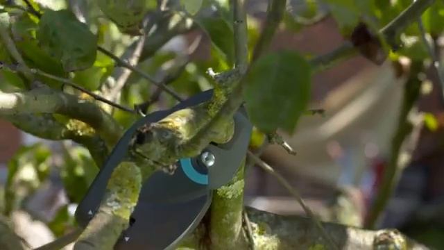 GARDENA StarCut 160 BL Telescopic Pruning Lopper StarCut 410