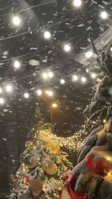 Калининград. Новый год. Снег. 2026.