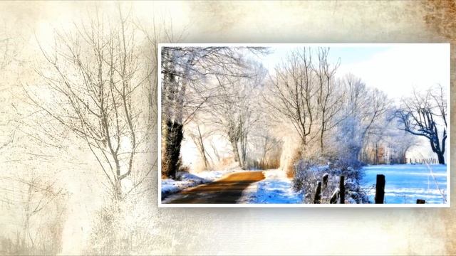 Stive Morgan - Regeneration