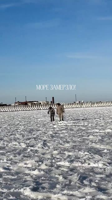 Море замерзло_01.02.2026