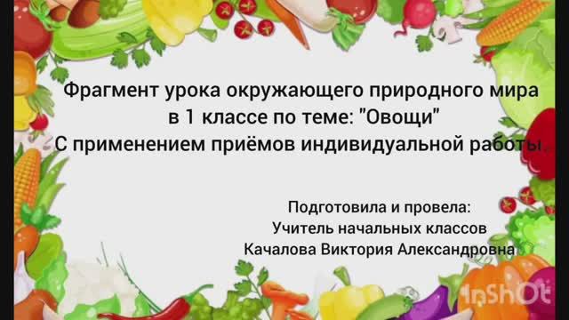 Видеофрагмент «Применение приемов индивидуальной работы» на уроке ОПМ 1, (АООП ТМНР в.2)