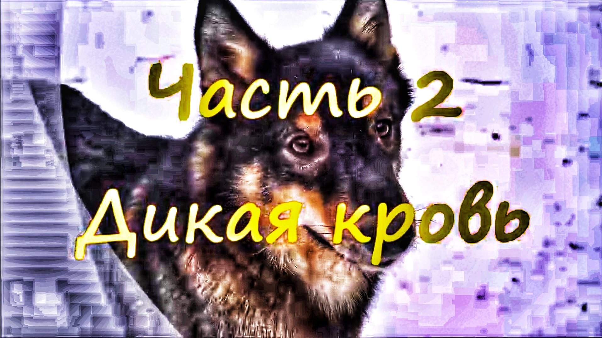 НЕСОБАКА.РУ 2 серия "Дикая кровь"