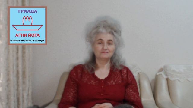 СВОЙ ВЫБОР 2026-02-10