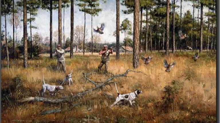 theHunter Classic-охота на куропаток с собакой