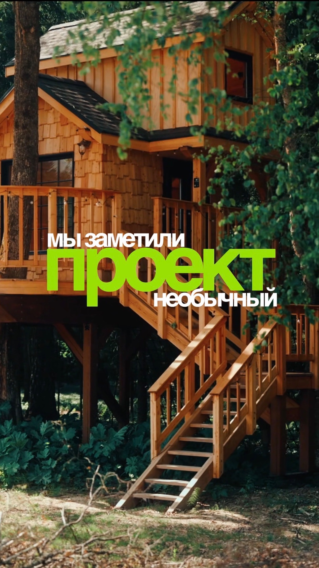 Дом на дереве в Ambient Park