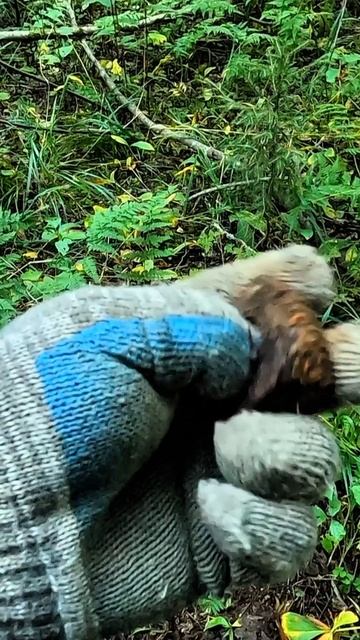 Интересная находка