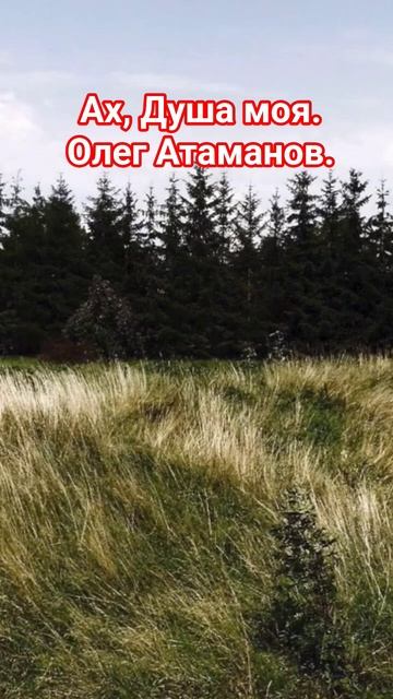 Олег Атаманов. Ах, Душа моя.