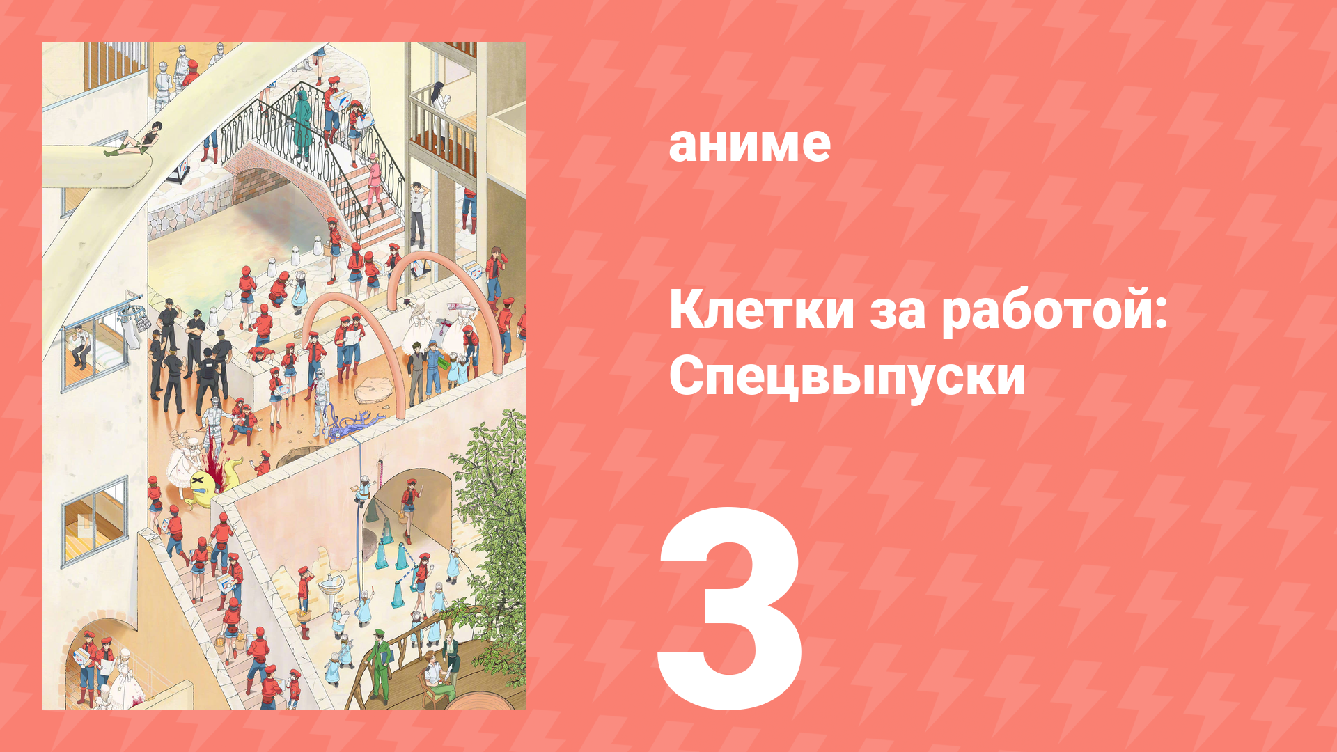 Клетки за работой: Спецвыпуски 3 серия (аниме-сериал, 2018)