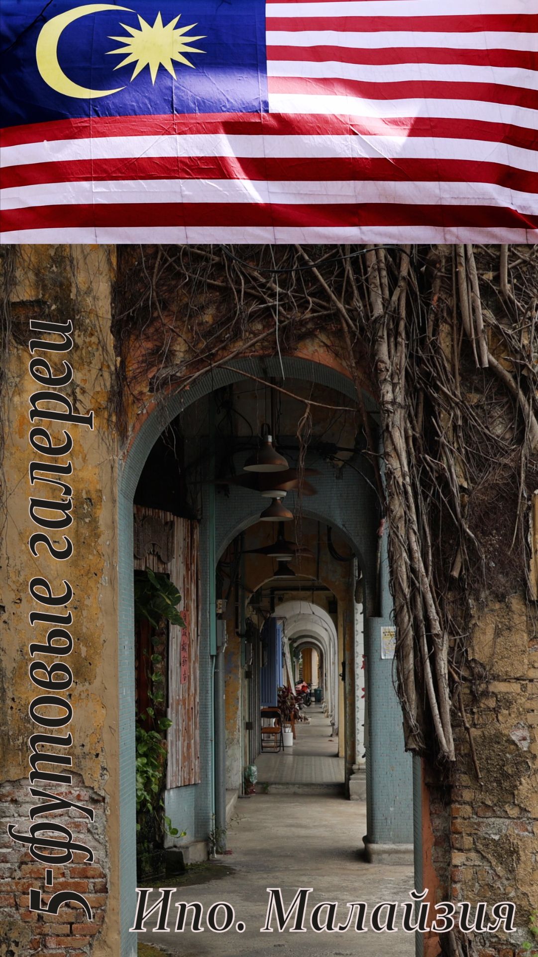 Ипо. 5-ти футовые галереи