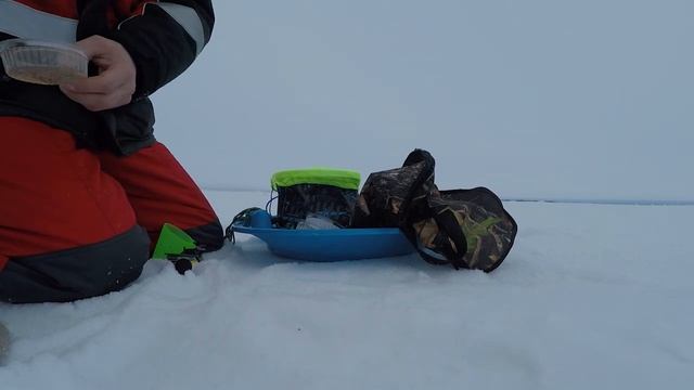 Первая рыбалка в 2026 году на Финском заливе.