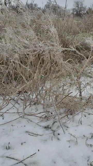 Таинственная история