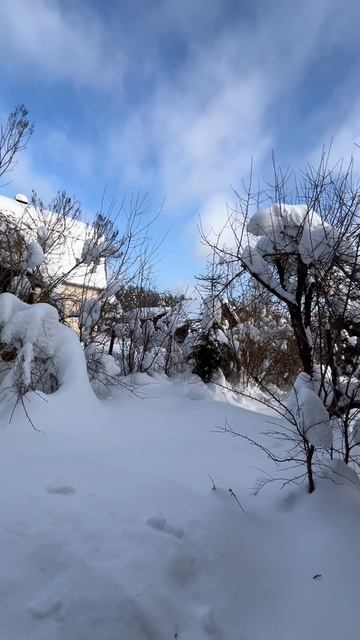 Середина зимы — это начало лета…