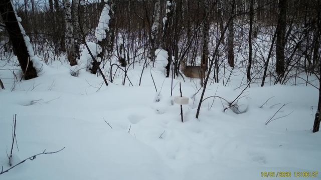 Долина Гоношихи-январь2026