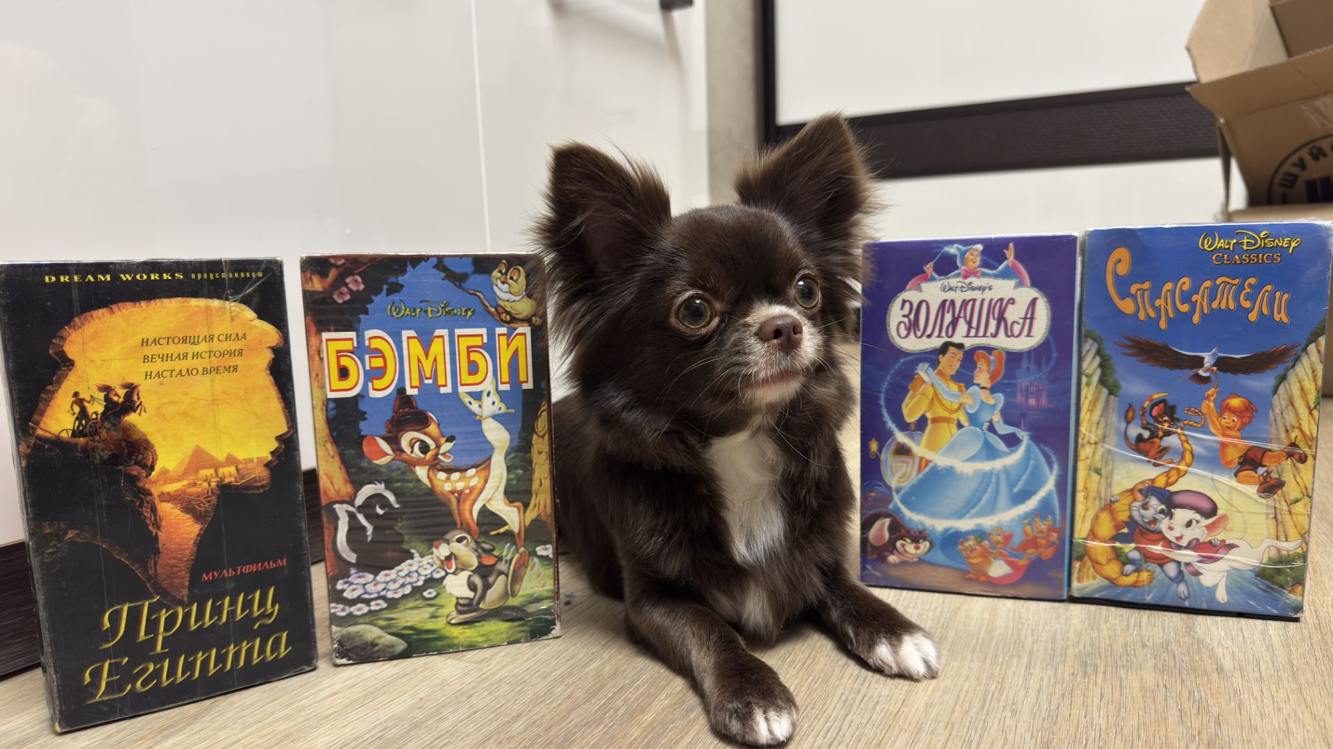 Распаковка видеокассет VHS 2