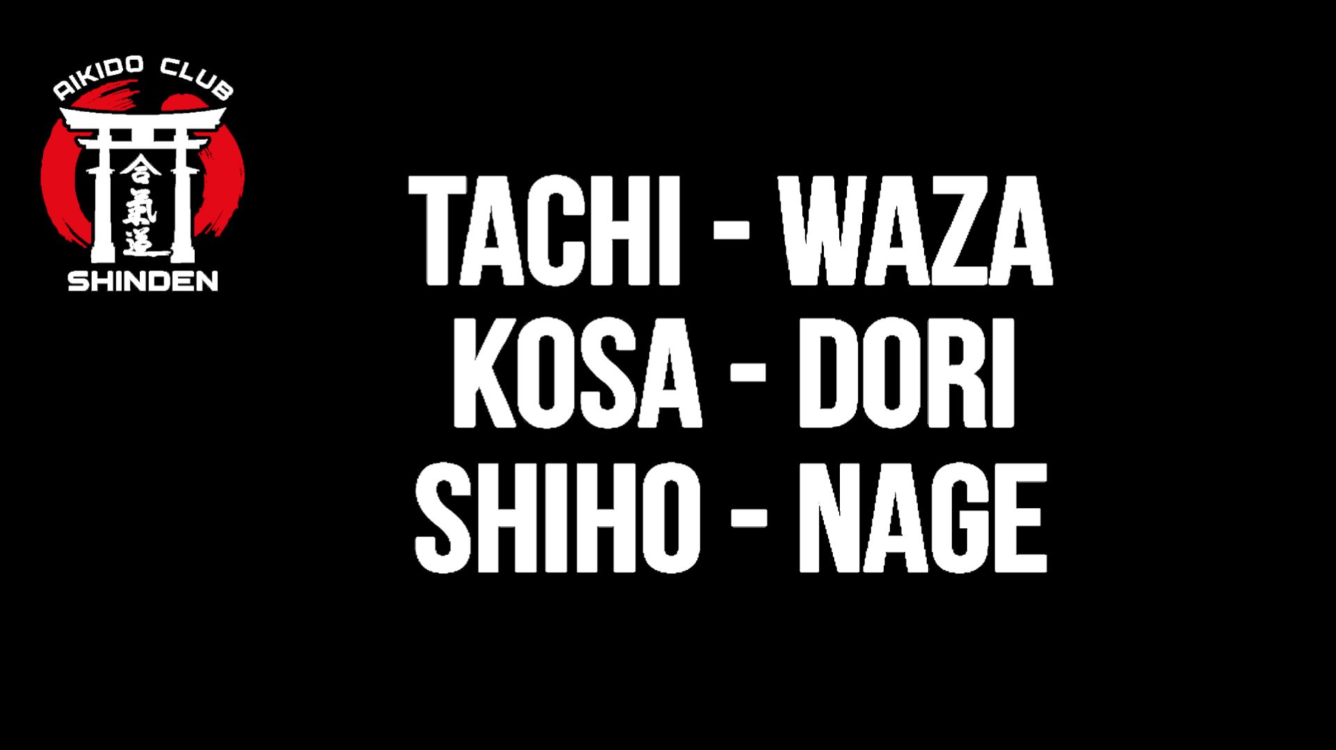 TACHI WAZA KOSA DORI SHIHO NAGE. Школа айкидо SHINDEN.