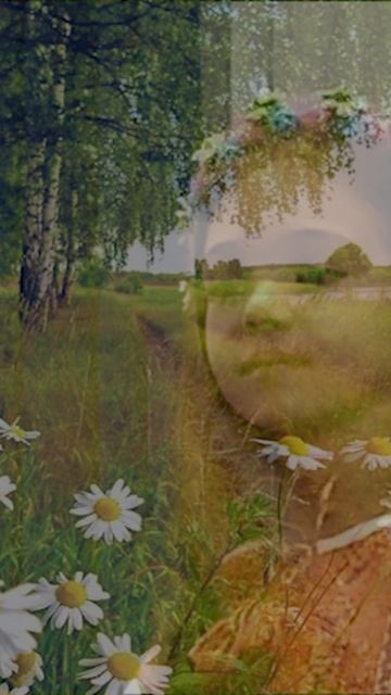 МАРИЯ ПШЕНИЧНЫХ. Летел голубь. Владивосток. 10.02.2026