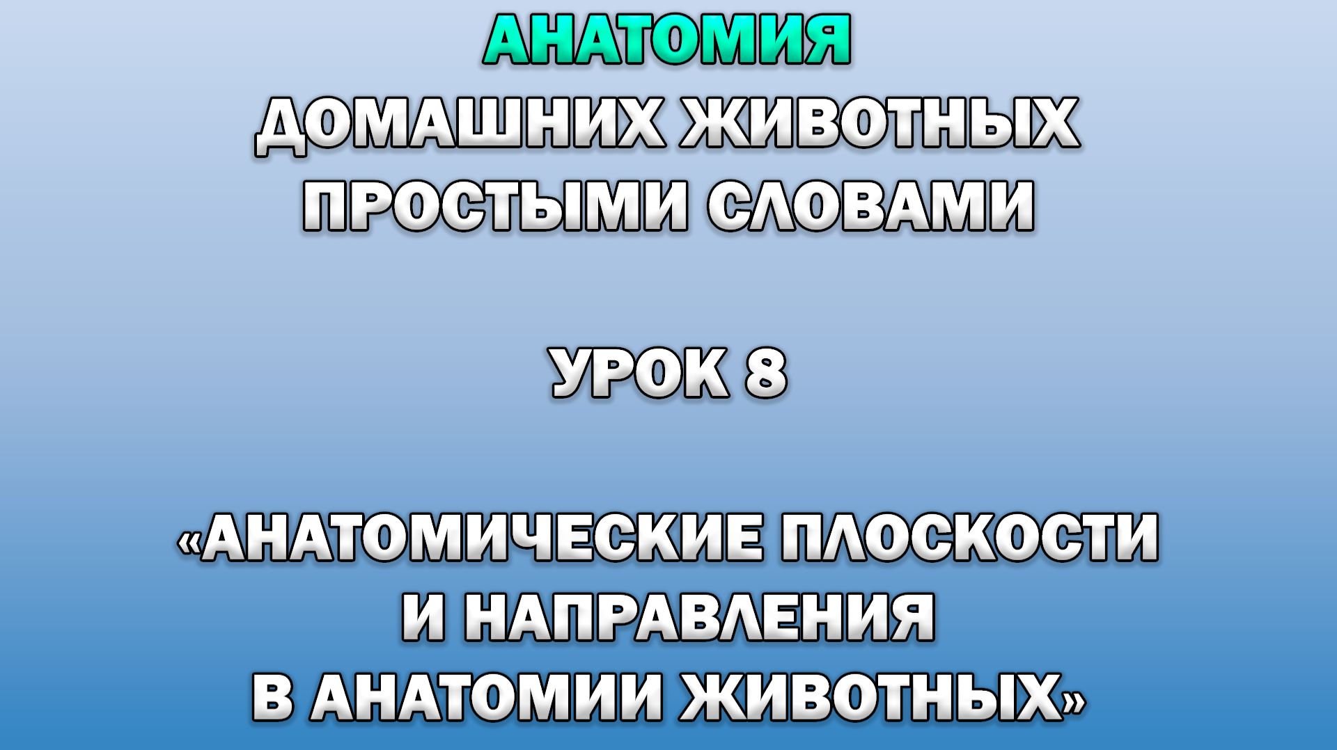 АДЖ | УРОК 8 | АНАТОМИЧЕСКИЕ ПЛОСКОСТИ И НАПРАВЛЕНИЯ В АНАТОМИИ ЖИВОТНЫХ