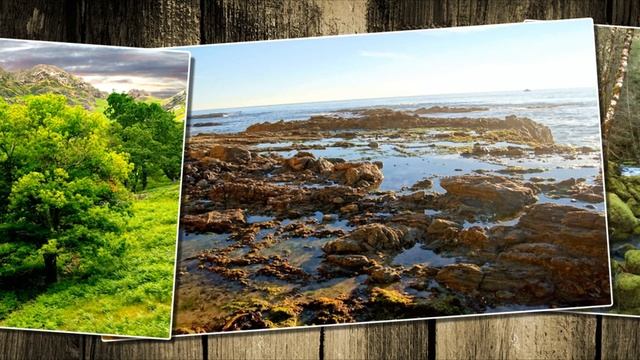 Stive Morgan - Silver Airplane