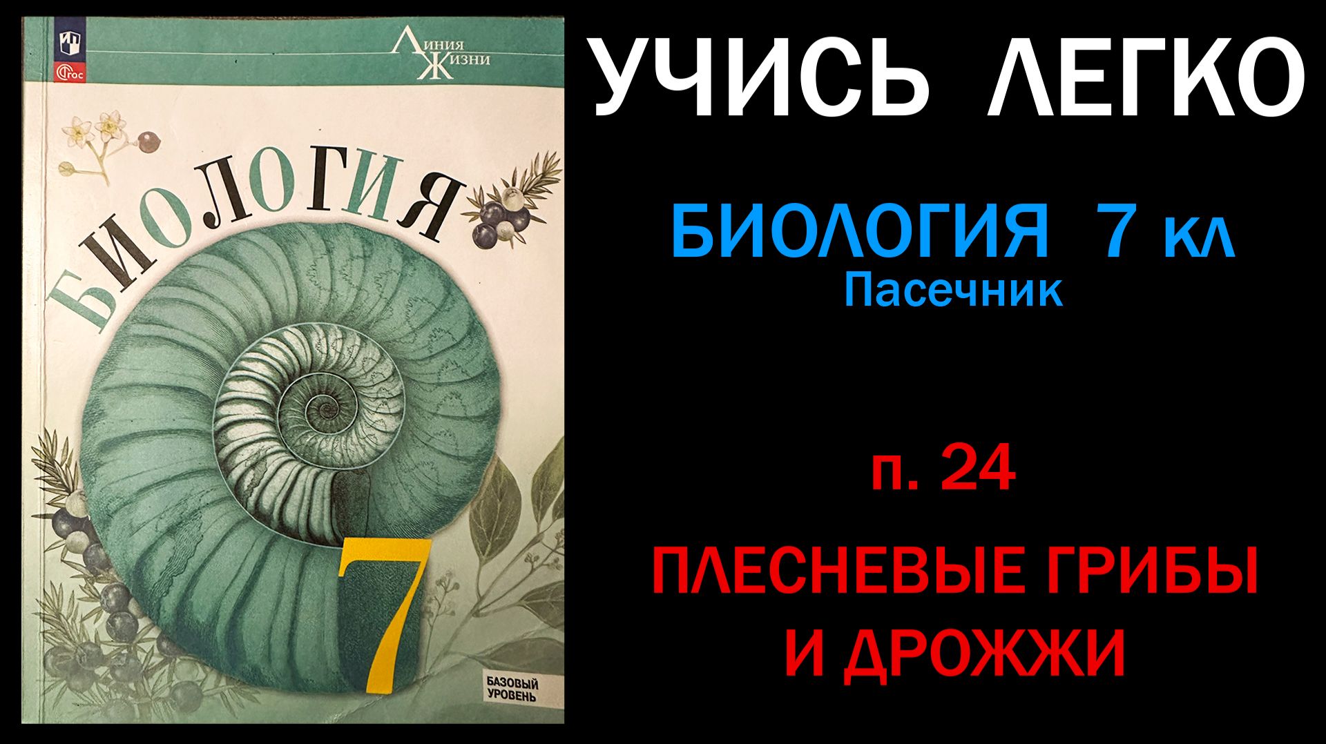 Биология 7 класс Пасечник, Суматохин параграф 24 Плесневые грибы и дрожжи. Слушать онлайн
