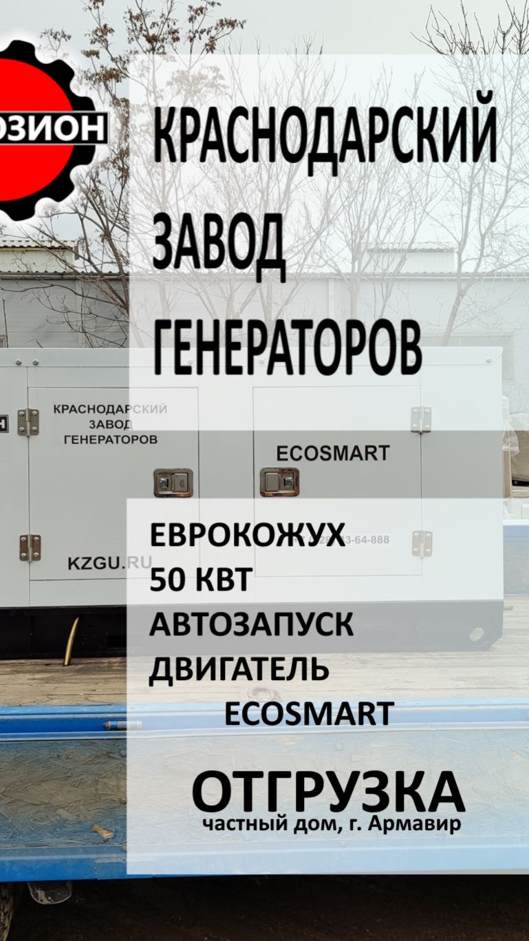 Дизельный генератор "Технозион" 50 кВт ECOSMART в еврокожухе для частного домовладения в г. Армавир