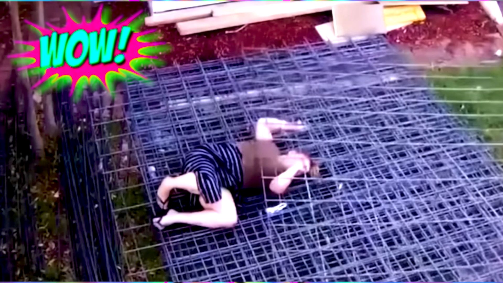 "ПРИКОЛЫ НА КАЖДЫЙ ДЕНЬ: СМЕШНЫЕ ВИДЕО ДЛЯ ПОДНЯТИЯ НАСТРОЕНИЯ"