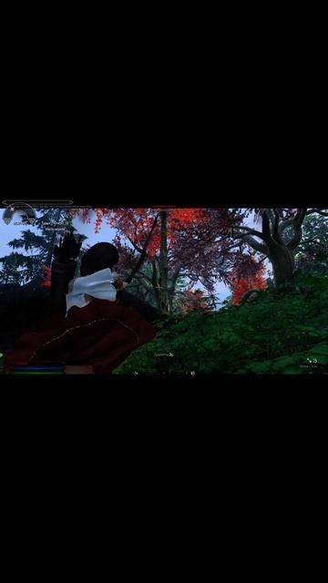 #Skyrim деревья в Скайриме!