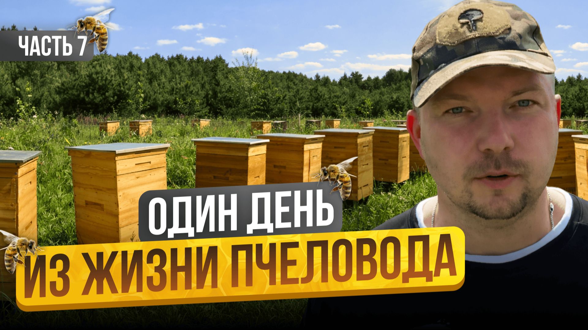 Сбежал с офиса на пасеку! Что из этого вышло? Строю пасеку с нуля | Серия 7
