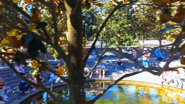 Краснодар парк Галицкого 2021 пруд с Кои