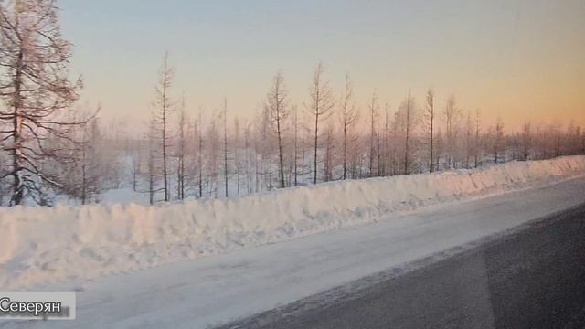 Там, где закаляется дух: Дорога пгт Харп — ст. Обская, северный край Ямало-Ненецкий АО ЖизньСеверян