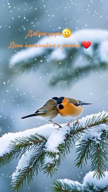 доброеутро #рекомендации #топ #врек  #2026