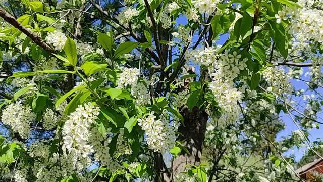 Листаем 2025 год 05 2