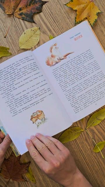 Чудесное путешествие Нильса с дикими гусями